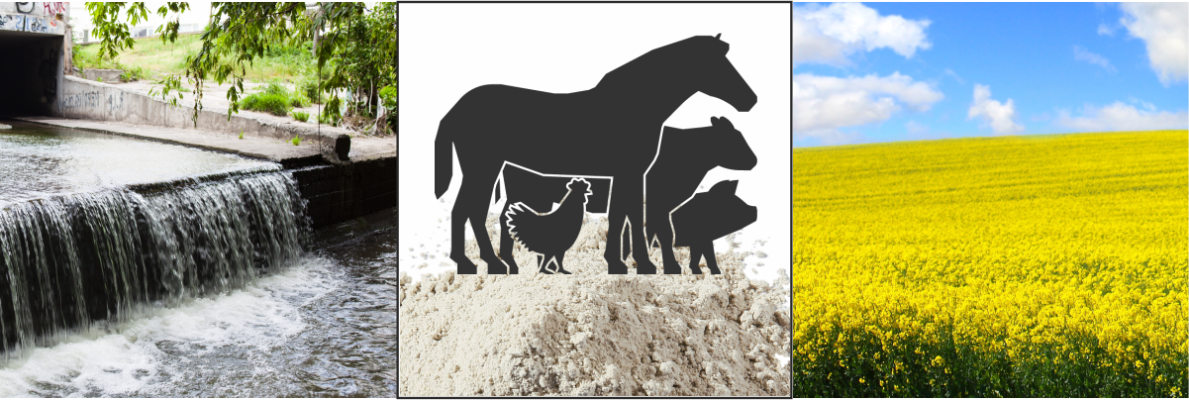 FerroSorp® Filtergranulate - HeGo Biotec GmbH